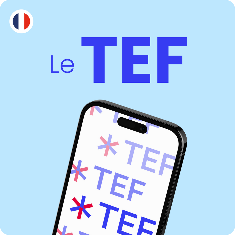 What is the TEF IRN? – PrepMyFuture