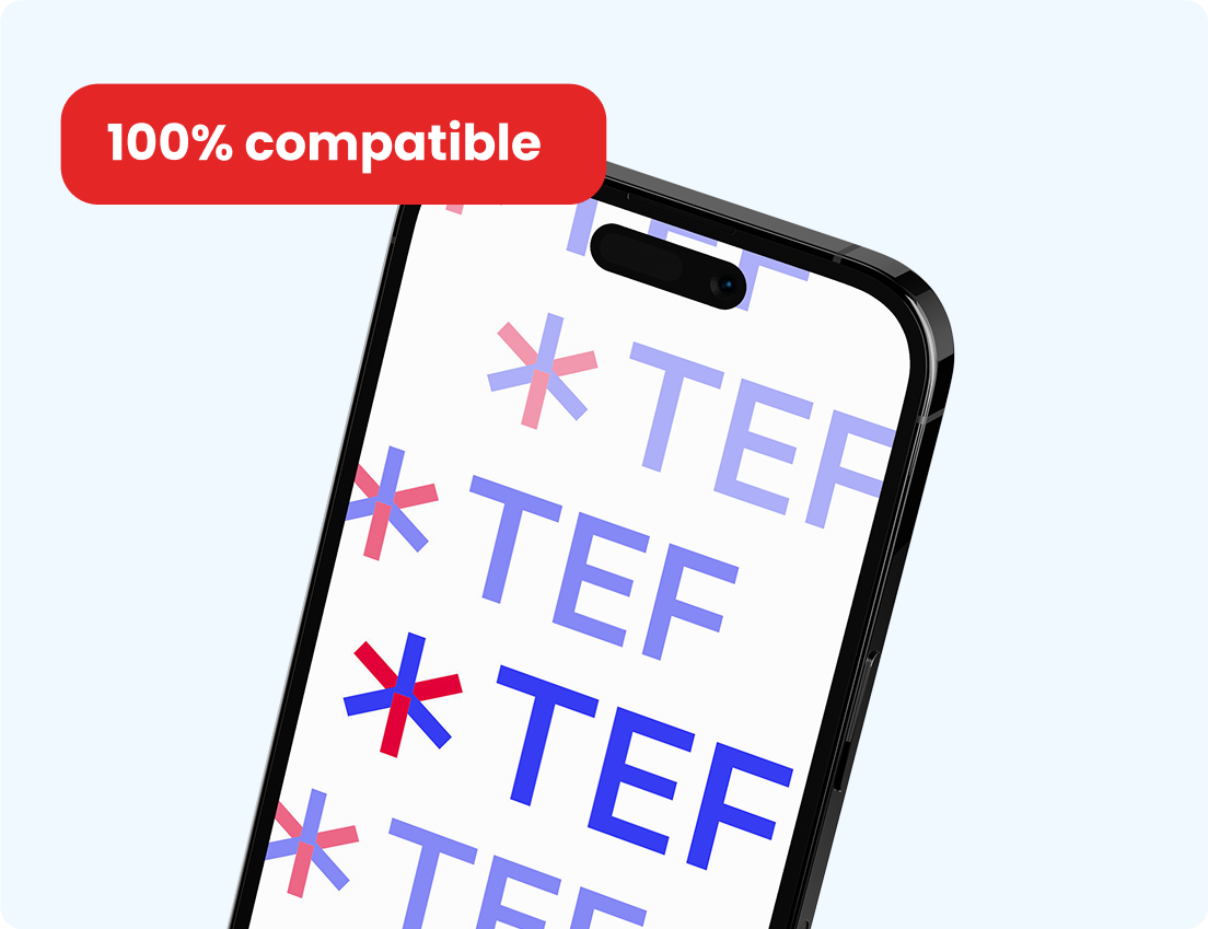 PrepMyFuture | TEF preparation